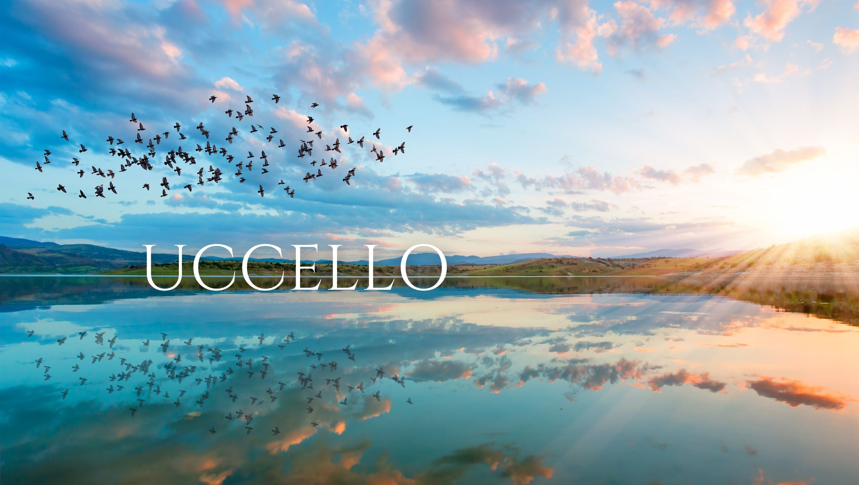UCCELLO – Rossario George